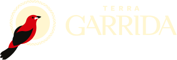home - Terra Garrida - O Sabor do Palmito